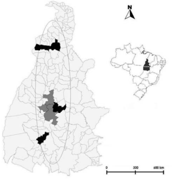 Nilton Marques. Desenvolvimento regional e territorial do... - Gran ...